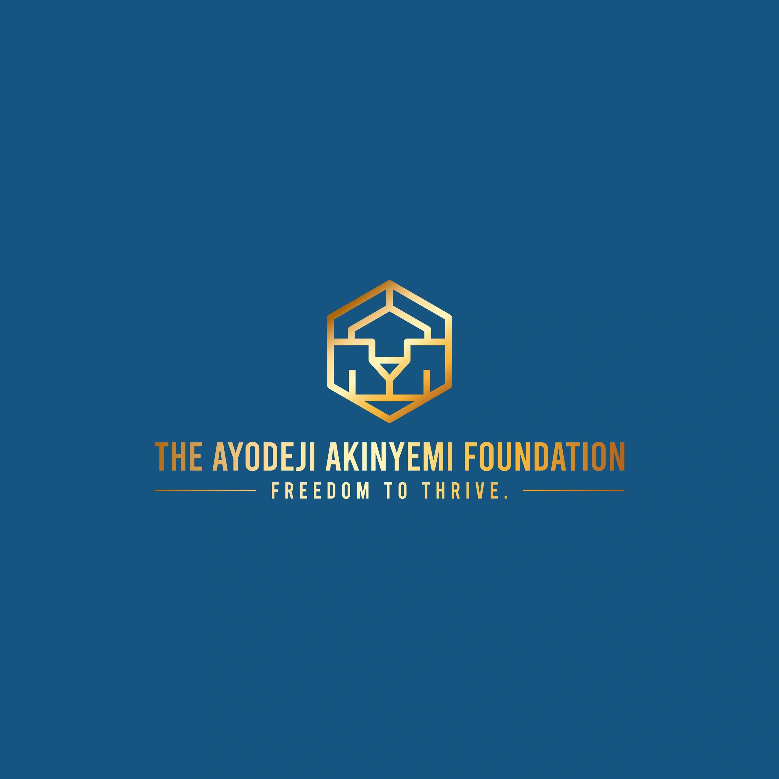 The Ayodeji Akinyemi Foundation
